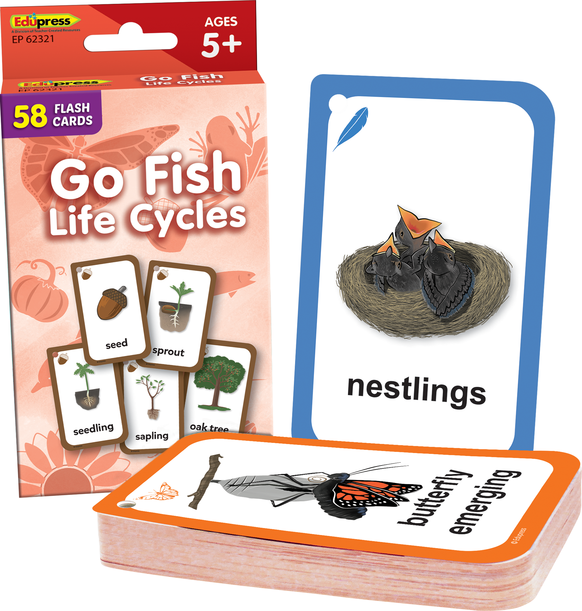 Go Fish: Life Cycles Flash Cards – McGregor's Teacher Supplies