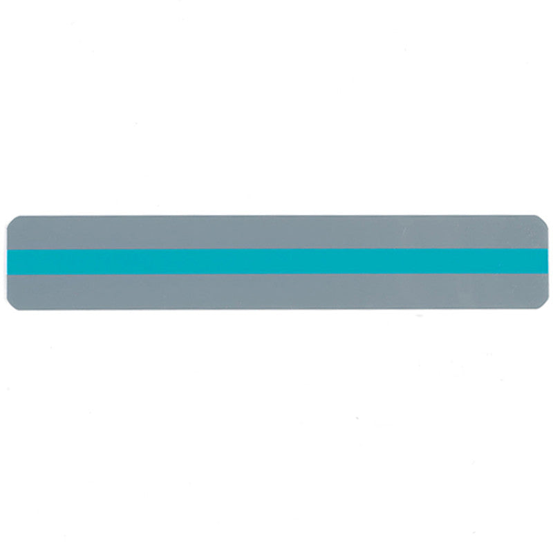 Blue Reading Guide Strip – McGregor's Teacher Supplies