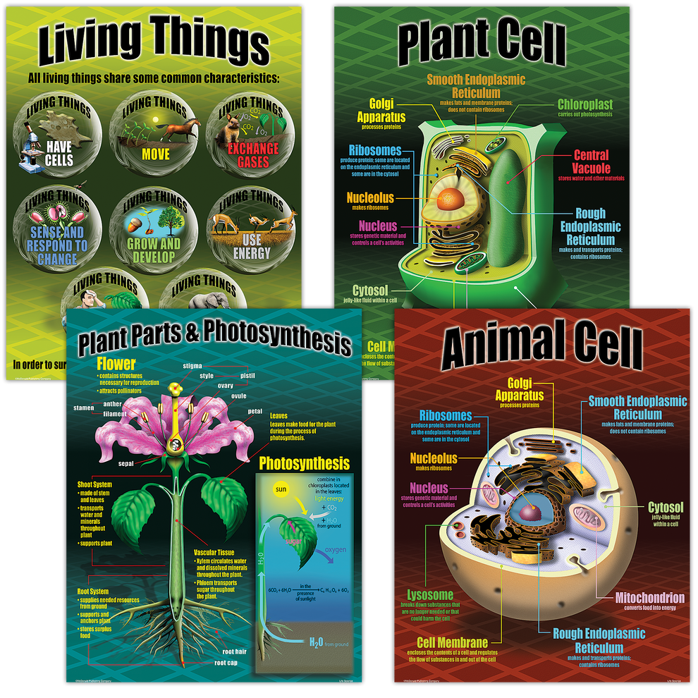 Life Science Poster Set – McGregor's Teacher Supplies